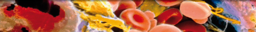 Herpes Simplex Virus Hepatitis in an Immunocompetent Host Resembling ...